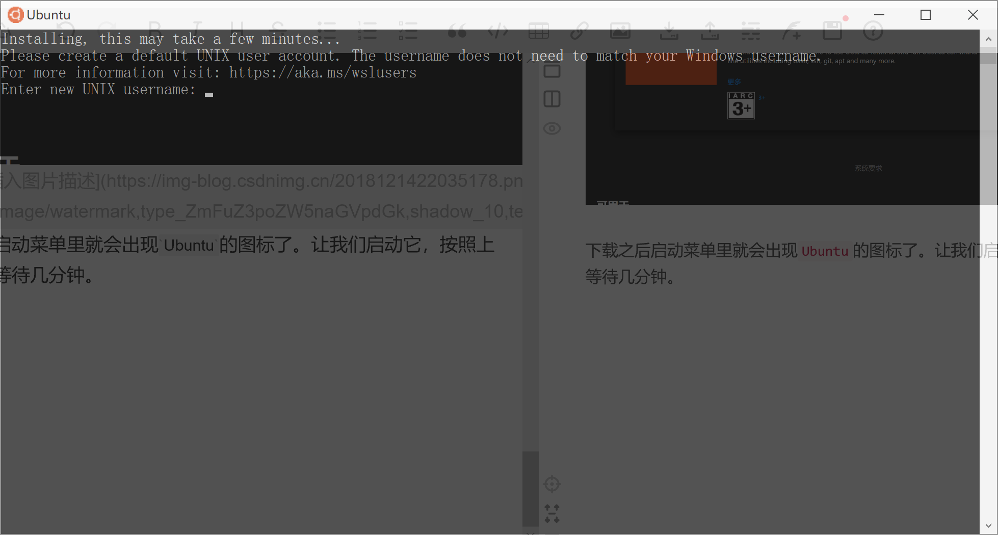 Windows Subsystem for Linux入门：安装+配置图形界面+中文环境+工作环境（vscode）_subsystem for linux 是做什么的-CSDN博客