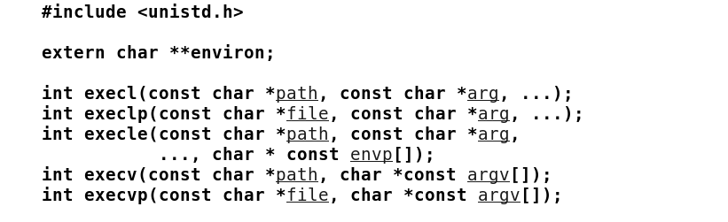 Linux系统的exec替换函数_exec命令的替代-CSDN博客