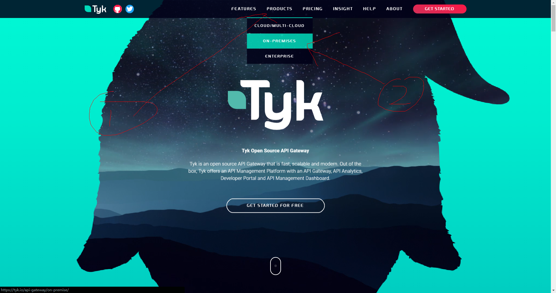 TYK Docker容器安装_tykio-CSDN博客