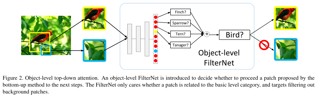 细粒度论文笔记《The application of two-level attention models in deep convolutional neural network for ...
