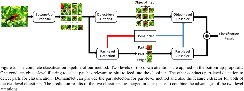 细粒度论文笔记《The application of two-level attention models in deep convolutional neural network for ...