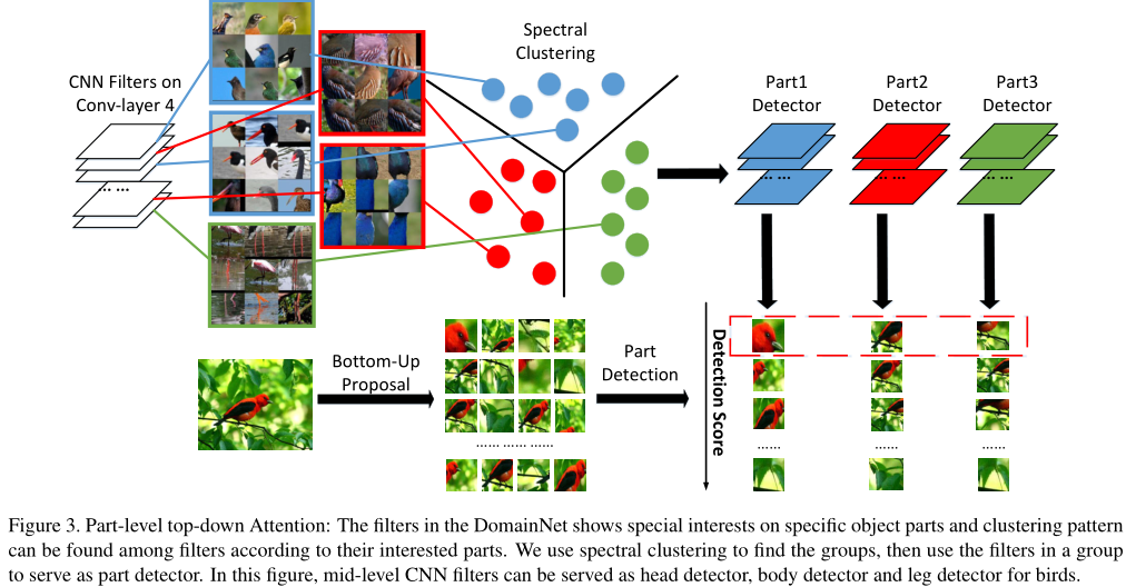 细粒度论文笔记《The application of two-level attention models in deep convolutional neural network for ...