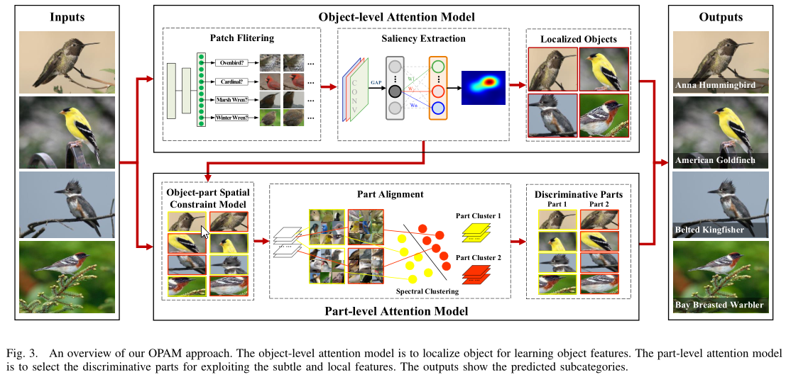 细粒度论文笔记《Object-Part Attention Model for Fine-grained Image Classification》-CSDN博客