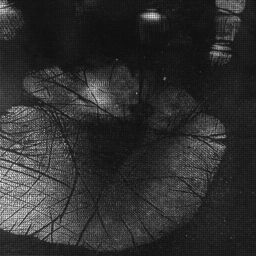 【OpenCV】【openMP】使用openMP对sobel边缘检测算子加速研究_opencv soble算子优化-CSDN博客