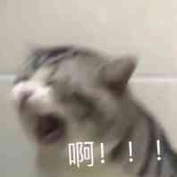 [随手记系列]SQLite数据库.db | .db-wal | .db-shw到底是个啥,为什么我导出.db里面没数据呢?-CSDN博客