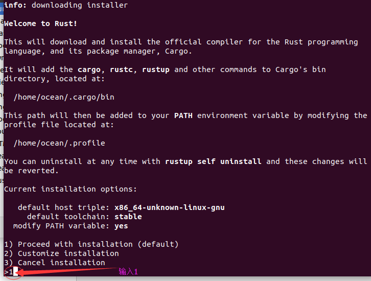 Rust：ubuntu下安装Rust语言包以及IDE插件支持_rustup 安装包-CSDN博客