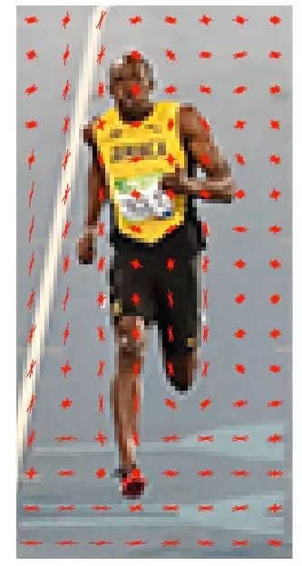 HOG算法_hog算法+svn算法的流程图-CSDN博客