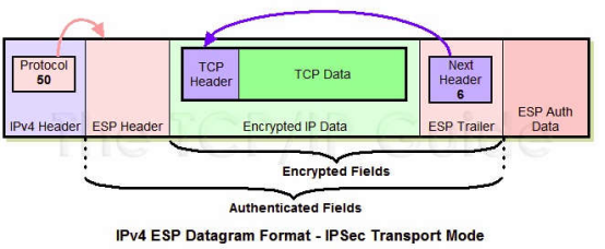 IPSec传输模式下ESP报文的装包与拆包过程_抓包esp-CSDN博客