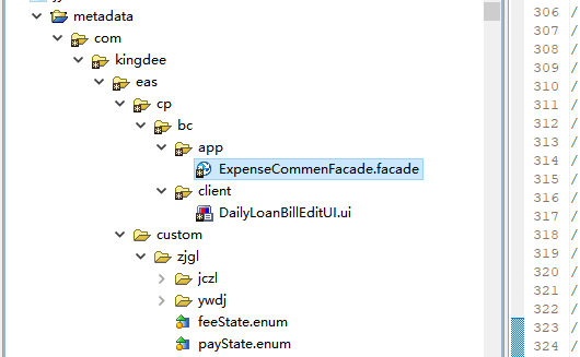 金蝶EAS-BOS二开详细过程_金蝶二开内容上线-CSDN博客