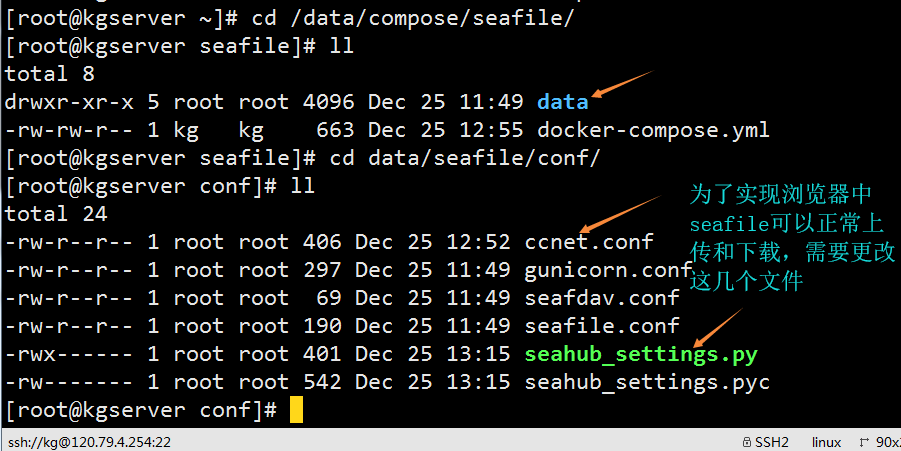 docker部署seafile-CSDN博客