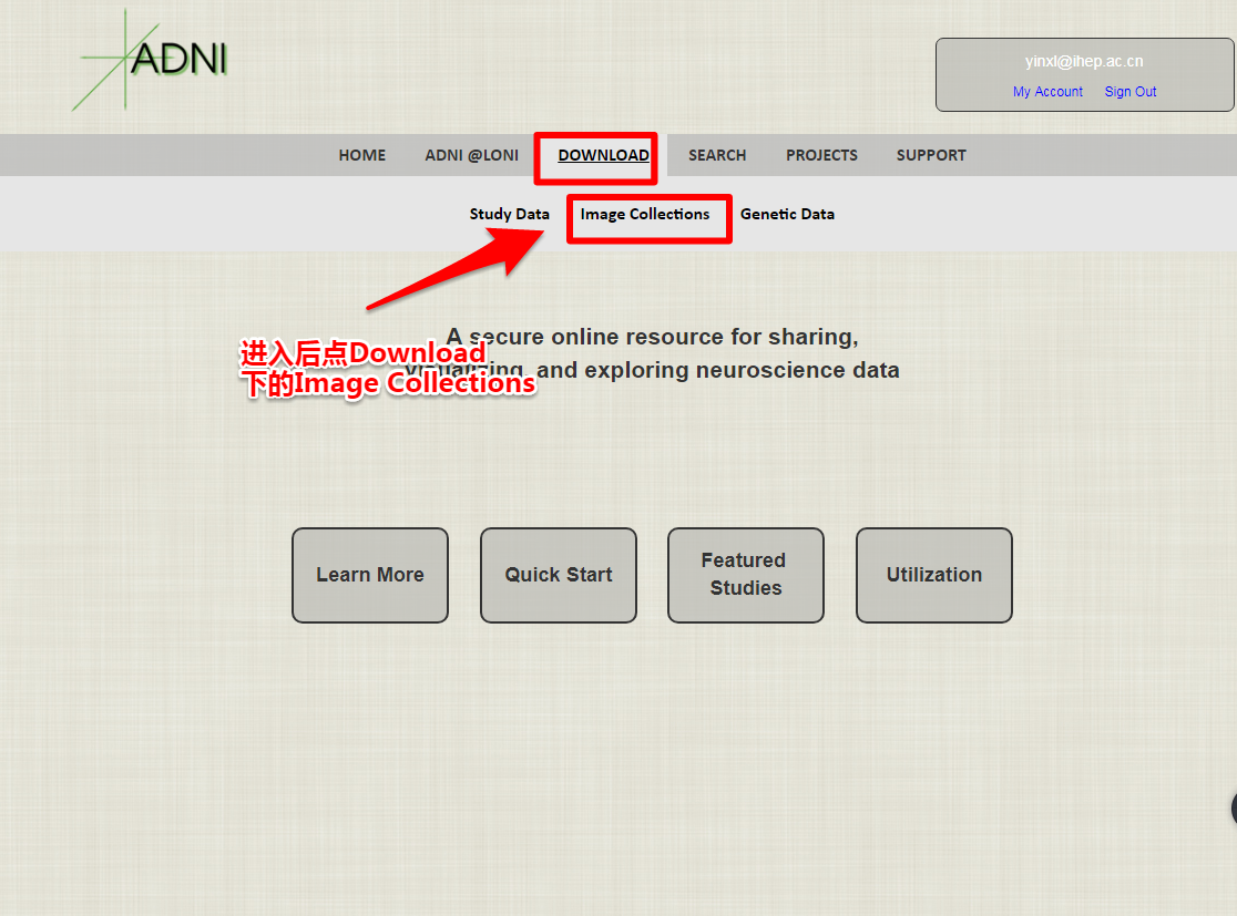 利用ADNI数据集下载数据_adni下载慢-CSDN博客
