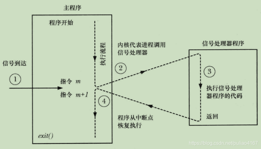 Linux信号(一)term信号 Csdn博客