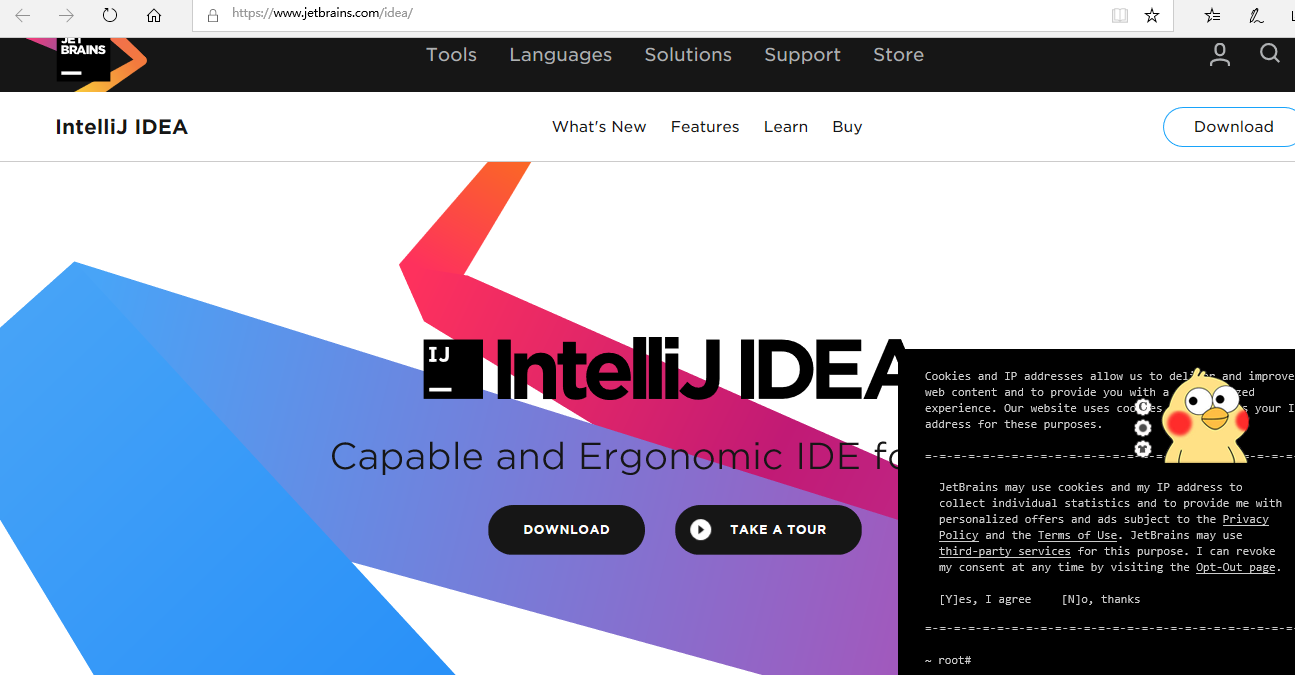 Intellij IDEA的安装教程_idea leeks安装-CSDN博客
