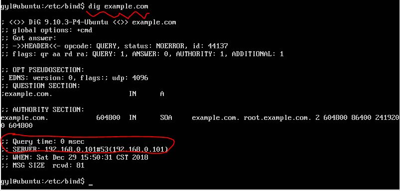 Ubuntu环境下安装和配置DNS服务器_dnsutils-CSDN博客