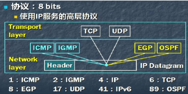 MAC/IP/TCP/UDP头结构分析_对mac层帧结构进行解析说明-CSDN博客