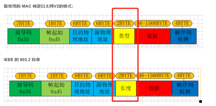 MAC/IP/TCP/UDP头结构分析_对mac层帧结构进行解析说明-CSDN博客