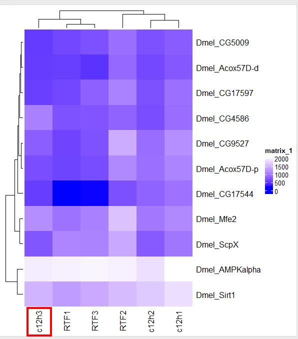 heatmap绘制热图时出现样本列名顺序调换 - 代码天地