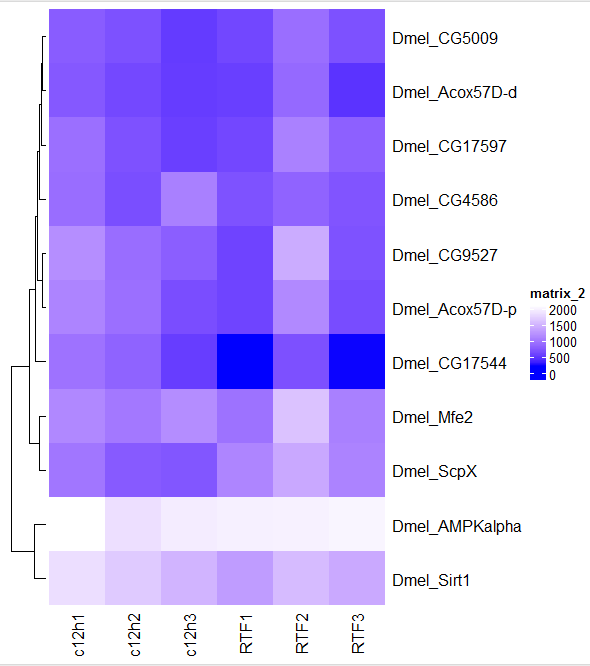 Heatmap绘制热图时出现样本列名顺序调换 R Complexheatmap 列标题顺序 Csdn博客