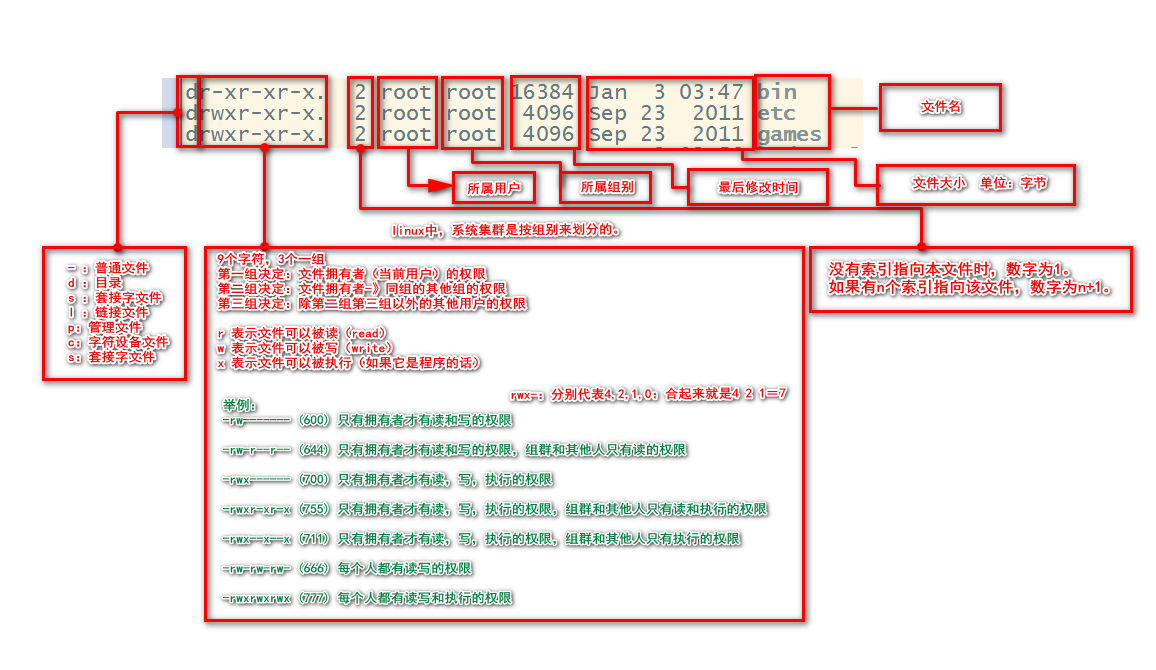 Linux中 ls -l 详解，图解各字段意义_ls -l 中的l指的是long 具体指什么-CSDN博客