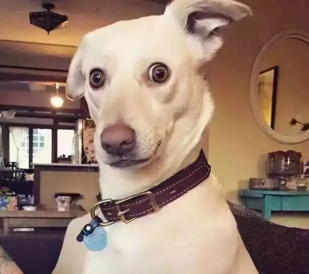 FPGA集成开发软件工具ISE的应用_fpga ise-CSDN博客