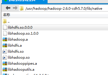 Hadoop启动没有NameNode节点：Unable to load native-hadoop library for your platform... using builtin ...