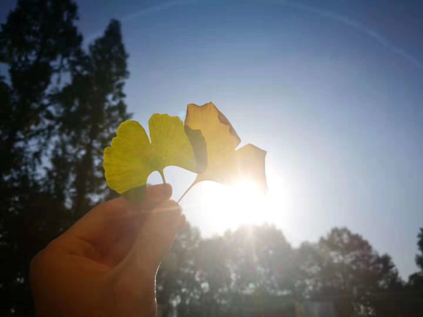 . LTspice based tutorial -023-defined variables; param command usage - Programmer Sought