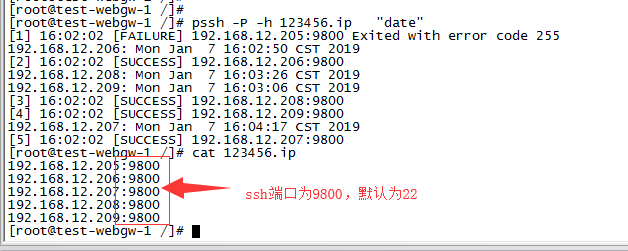 pssh安装和安装包下载_pssh下载_loricahndi的博客-CSDN博客
