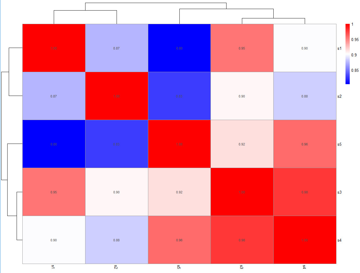 R语言绘制热图实践(一）pheatmap包_r语言pheatmap-CSDN博客