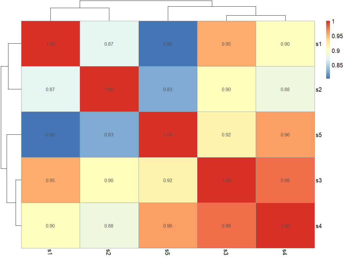 R语言绘制热图实践(一）pheatmap包_r语言pheatmap-CSDN博客