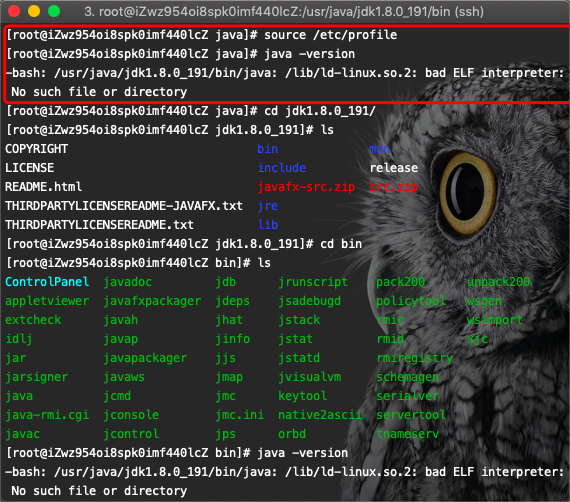 Linux 新服务器配置_新服务器如何配置-CSDN博客