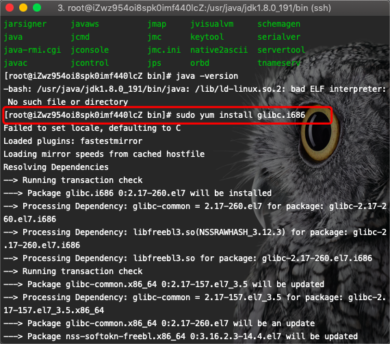 Linux 新服务器配置_新服务器如何配置-CSDN博客