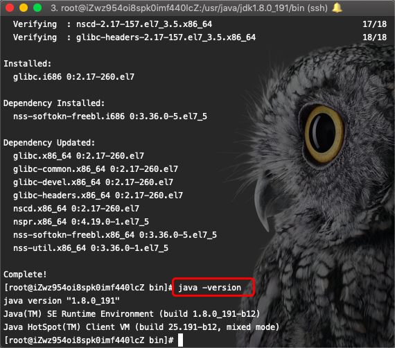 Linux 新服务器配置_新服务器如何配置-CSDN博客