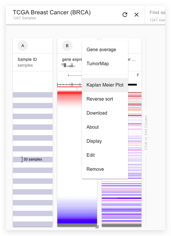 利用UCSC Xena做TCGA数据库的生存曲线分析_super_qun的博客-CSDN博客_ucsc xena数据库