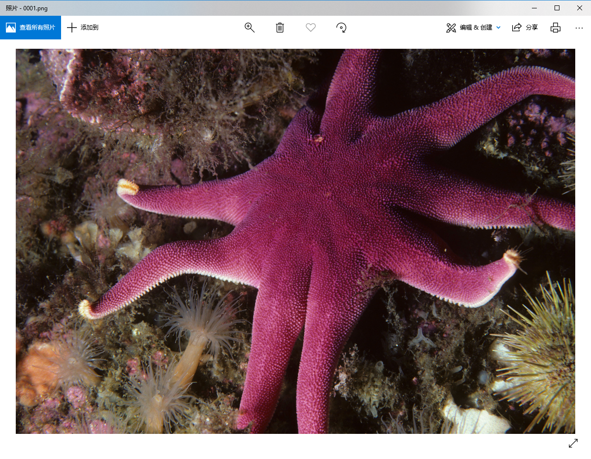 vs2017 ESRGAN（Enhanced SRGAN）的PyTorch实现_esrgan 设计与实现-CSDN博客