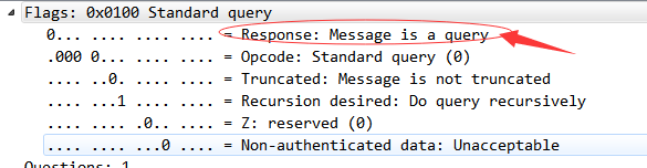 WireShark抓DNS请求和回复数据报的分析_运维_chenyu-CSDN博客