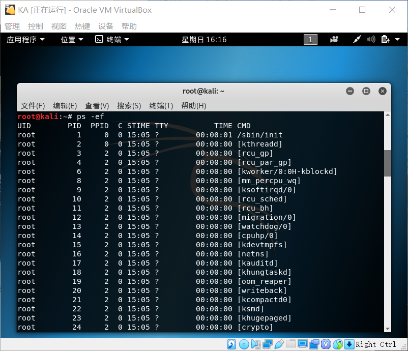 Kali Linux 基本BASH命令_kali bash-CSDN博客