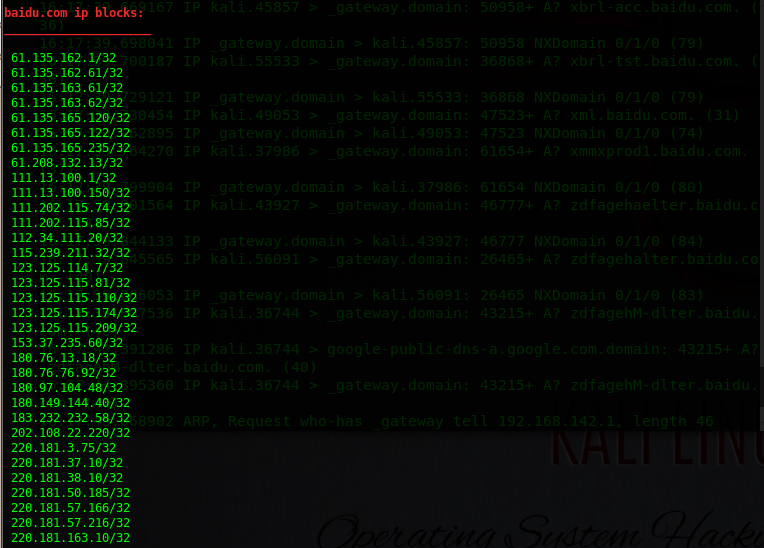 Dnsenum详解（域名信息收集）-CSDN博客