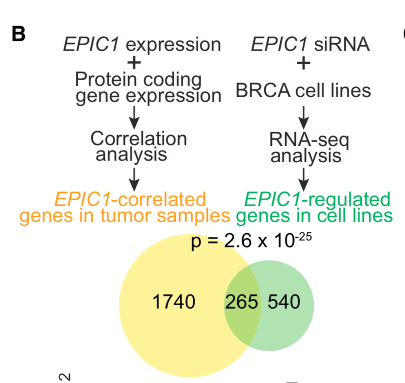 超几何分布检验（hypergeometric test）-CSDN博客