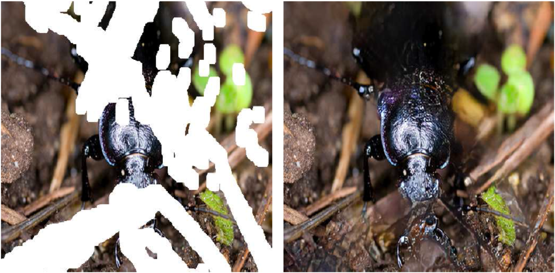 【论文笔记】Image Inpainting for Irregular Holes Using Partial Convolutions ...