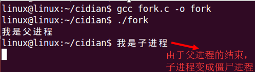 fork 与 wait_wait fork作用范围-CSDN博客