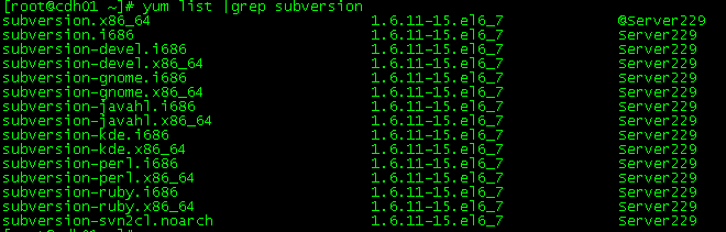 Linux Svn Server 安装与配置linux Svn Server下载 Csdn博客 