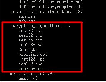 2. 漏洞复测系列 -- SSH 支持弱加密算法漏洞（SSH Weak Algorithms Supported）-CSDN博客
