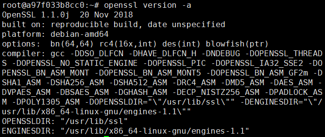 docker容器中安装openssl_docker怎么使用宿主机的openssl-CSDN博客