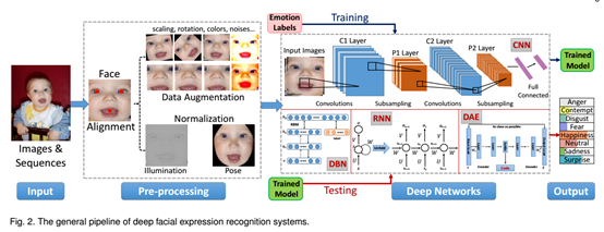 Deep Facial Expression Recognition: A Survey笔记-CSDN博客