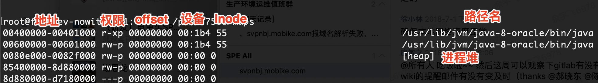 Linux的proc文件系统揭秘_linux proc目录全称-CSDN博客