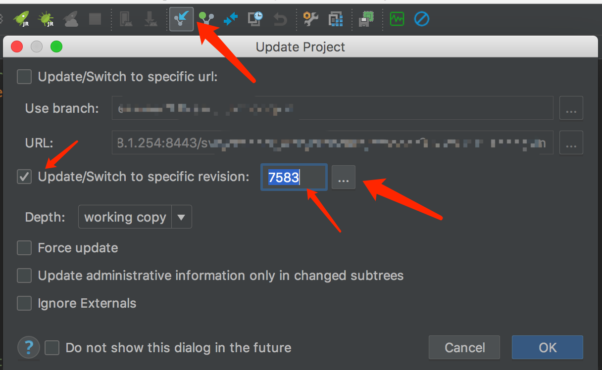 Intellij Idea Svn 版本管理，怎么回退单个文件或者整个项目到之前的某个特定版本idea Svn回退 Csdn博客 