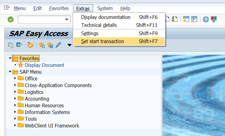 个性配置SAP GUI的几个小技巧_sap gui options-CSDN博客