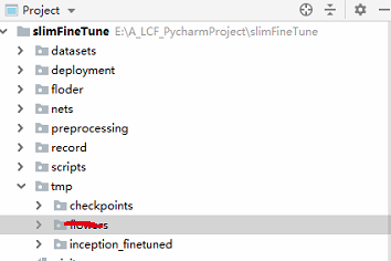 tensorflow 使用slim对自己的tfrecord数据集实现迁移学习_tfrecord 下载-CSDN博客