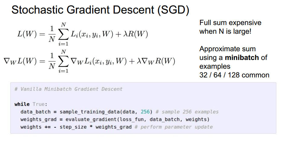 CNN笔记（CS231N）——损失函数与优化（Loss Functions and Optimization）_优化函数和损失函数-CSDN博客