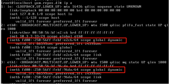 IPv6- Linux IPv6无状态地址自动配置_linux无状态ipv6配置-CSDN博客